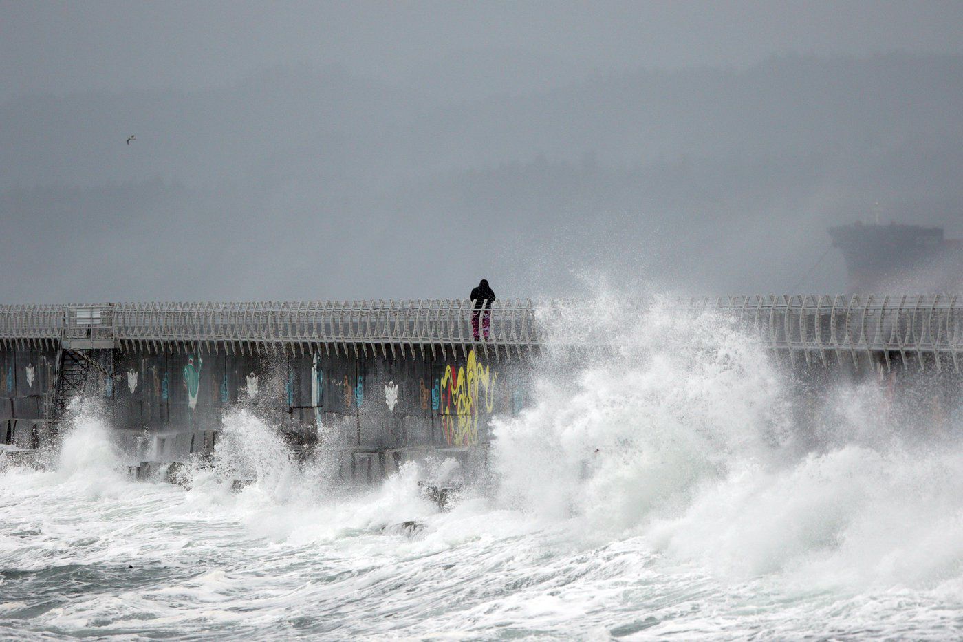 Vancouver Island windstorm: Gusts up to 110 km/h expected on west coast