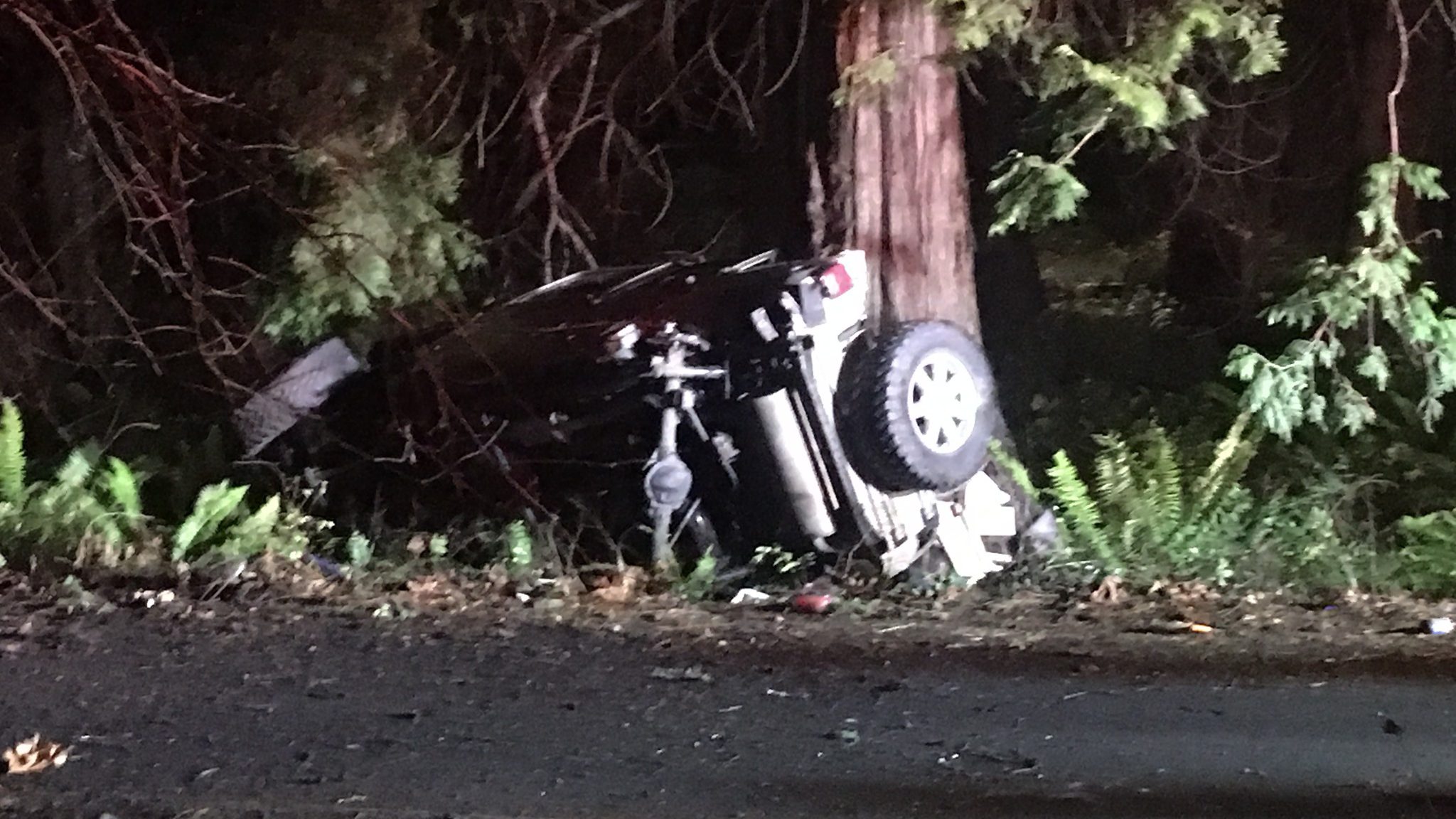 Alcohol believed factor in crash that saw driver hit tree near Mount ...