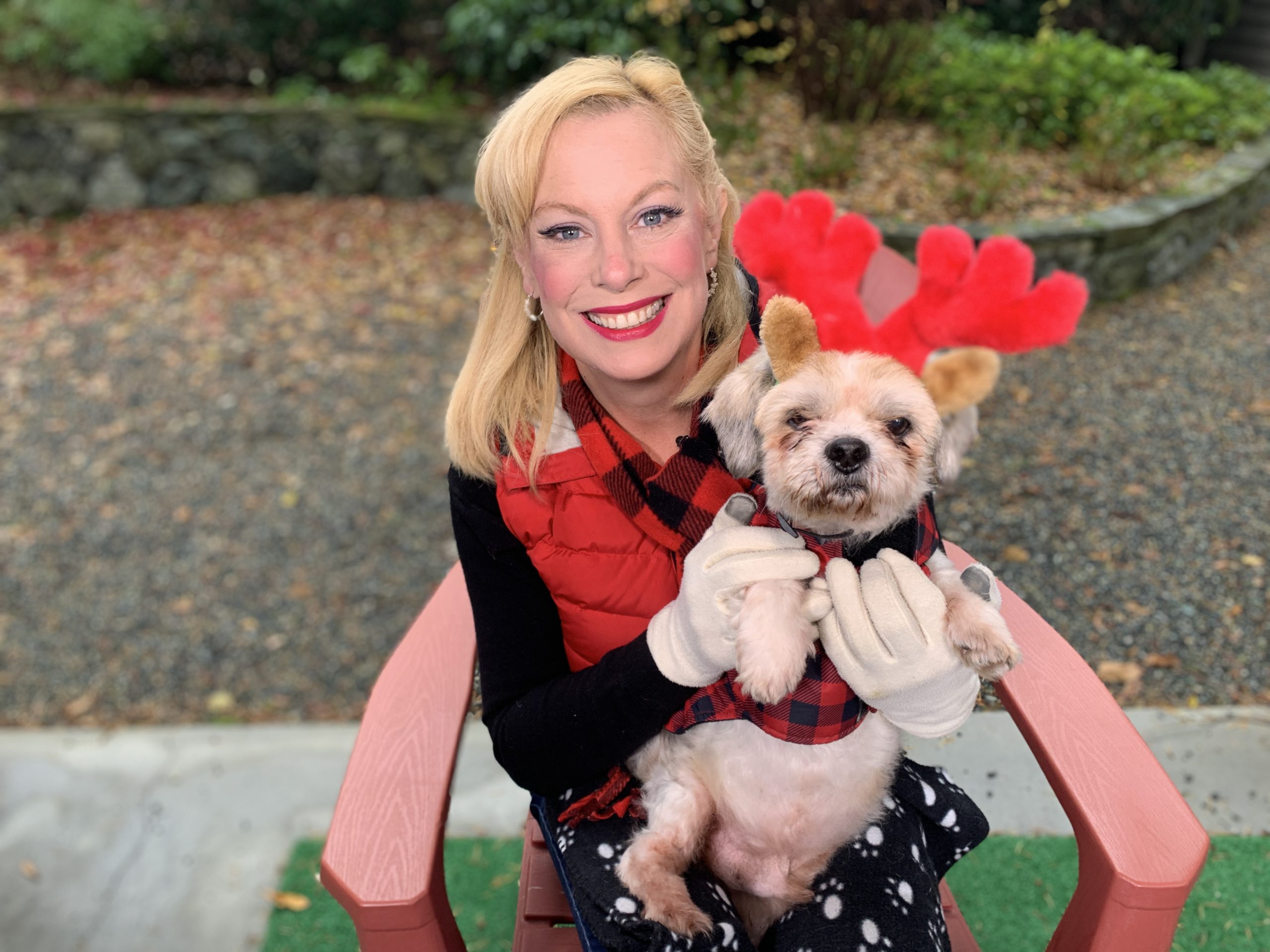 Pet CHEK: Neglected senior dog Chester needs a loving home