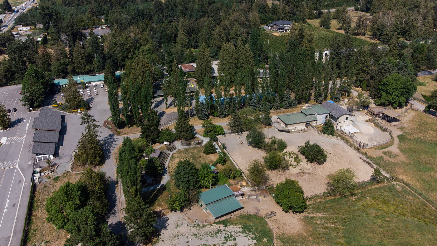 Greater Vancouver Zoo sued over toddler's alleged mauling by bears