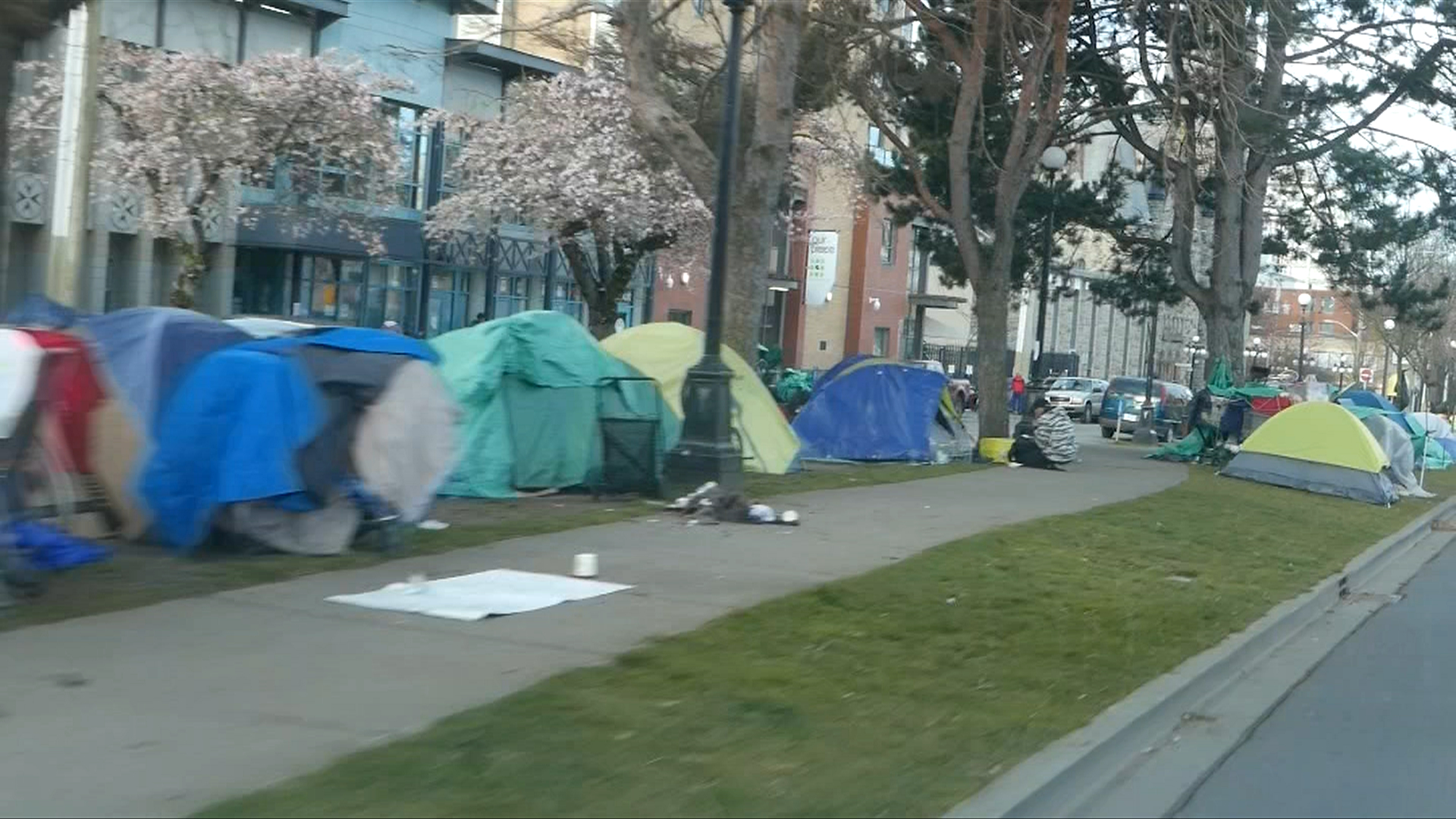 ‘Where do people go?’: Over 1,600 homeless in Victoria far surpasses ...