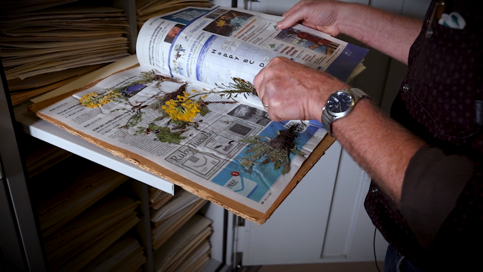A new book details how to properly press and preserve plants