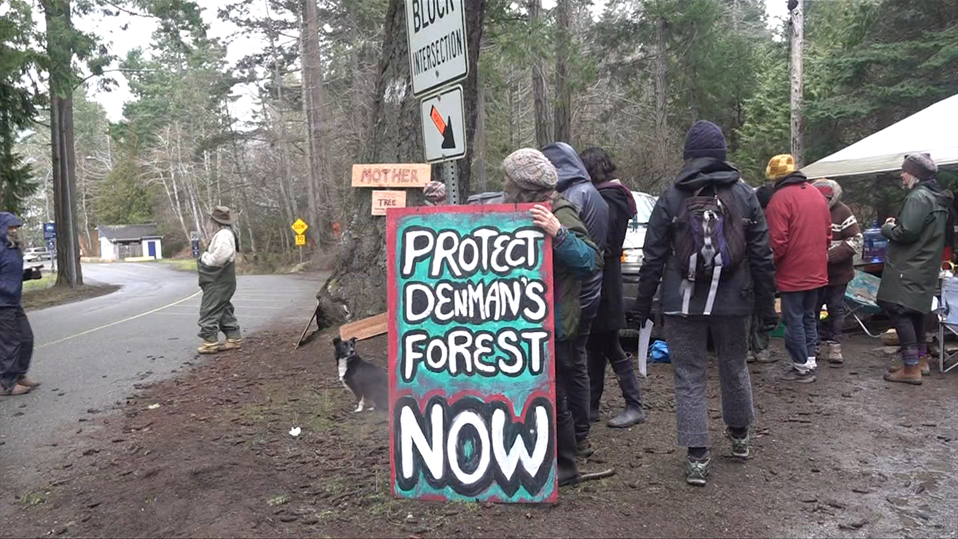 BC Ferries backs off Denman Island expansion after protesters push back