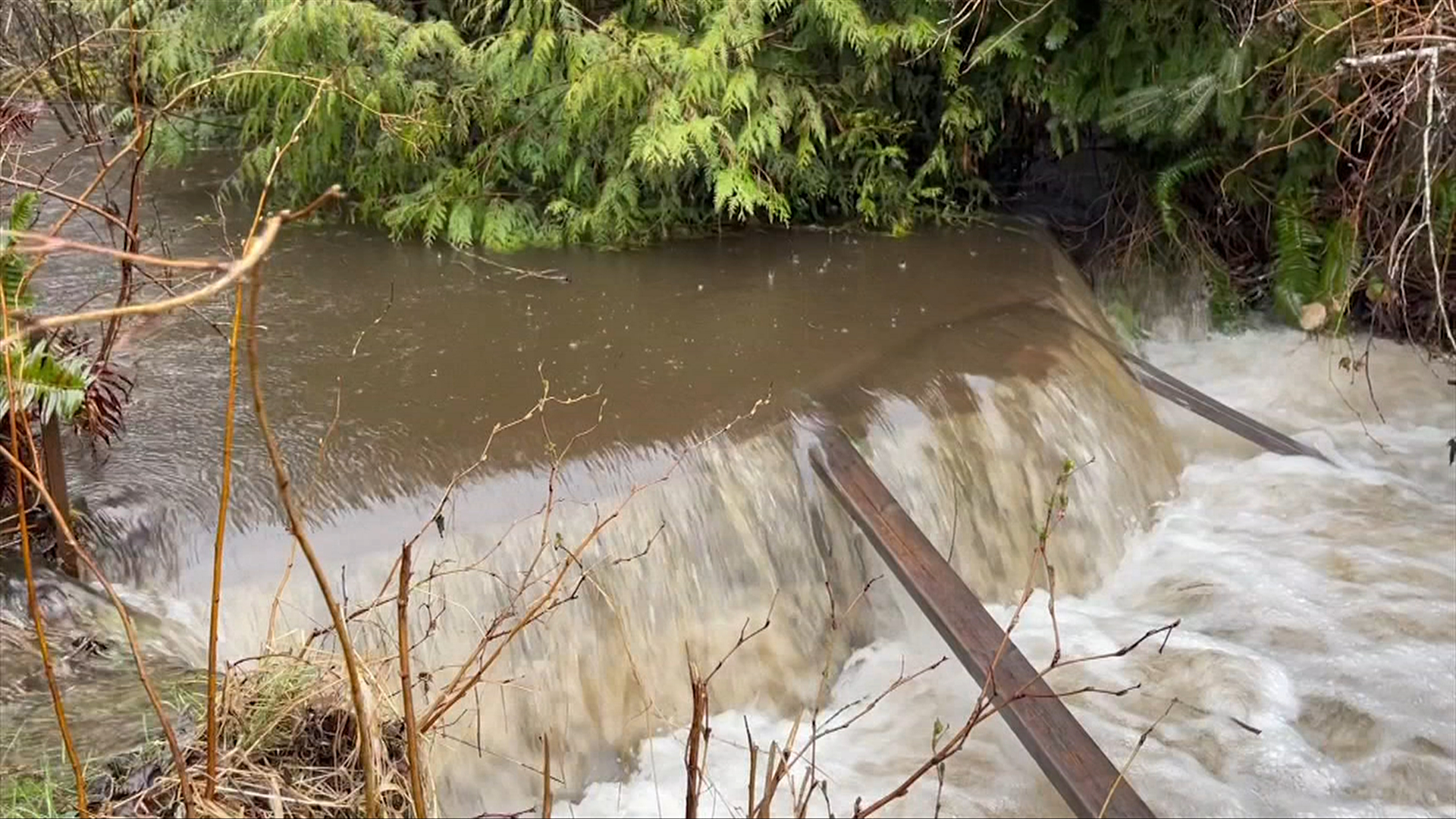 Island rainfall records washed away by 'really needed' weekend storm