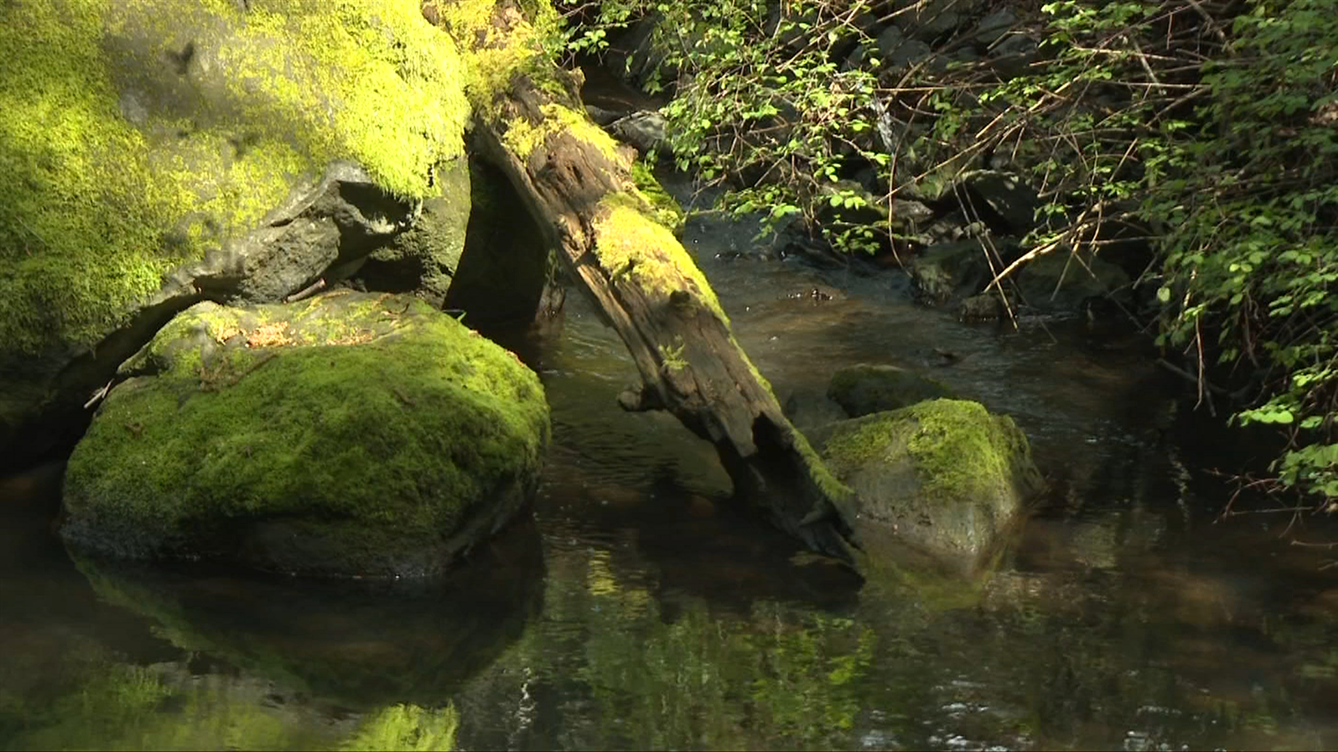 Experts predict wet spring but warn of a hot and dry summer in British ...