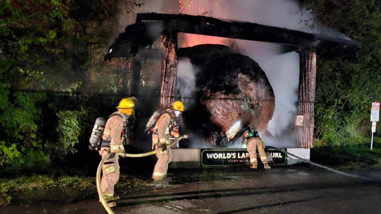 World's largest burl catches fire in Port McNeill: fire department