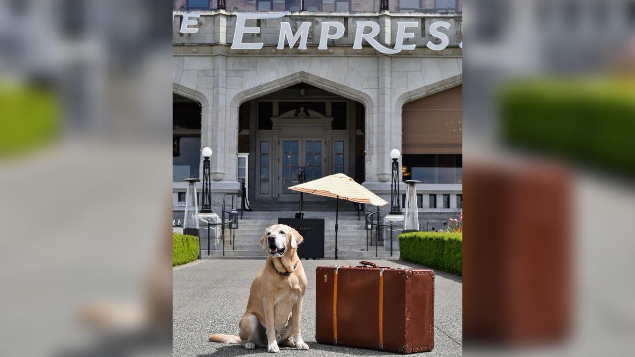 Winston the Empress greeter to retire after four year career