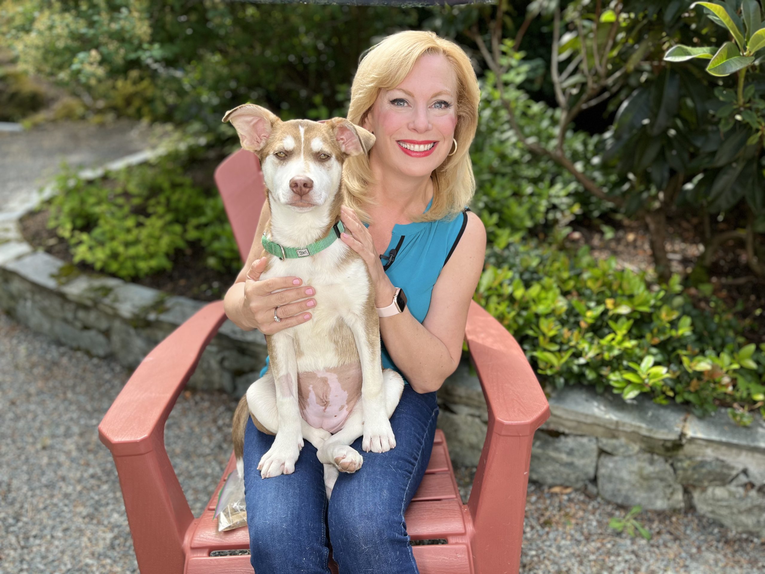 Pet CHEK: Sweet puppy Angel is a total Angel