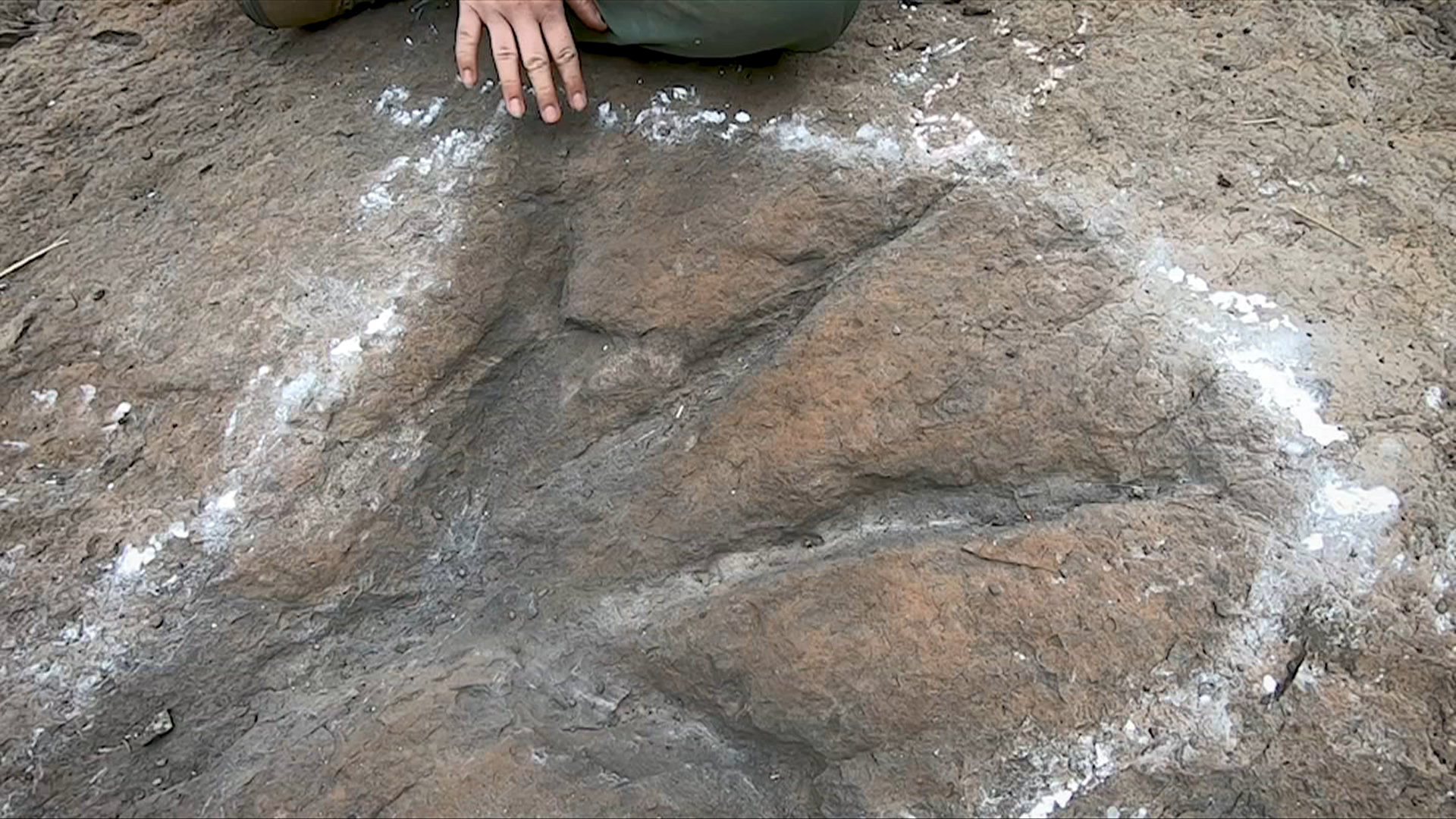 A mysterious ‘extra toed’ dinosaur footprint has local researchers ...