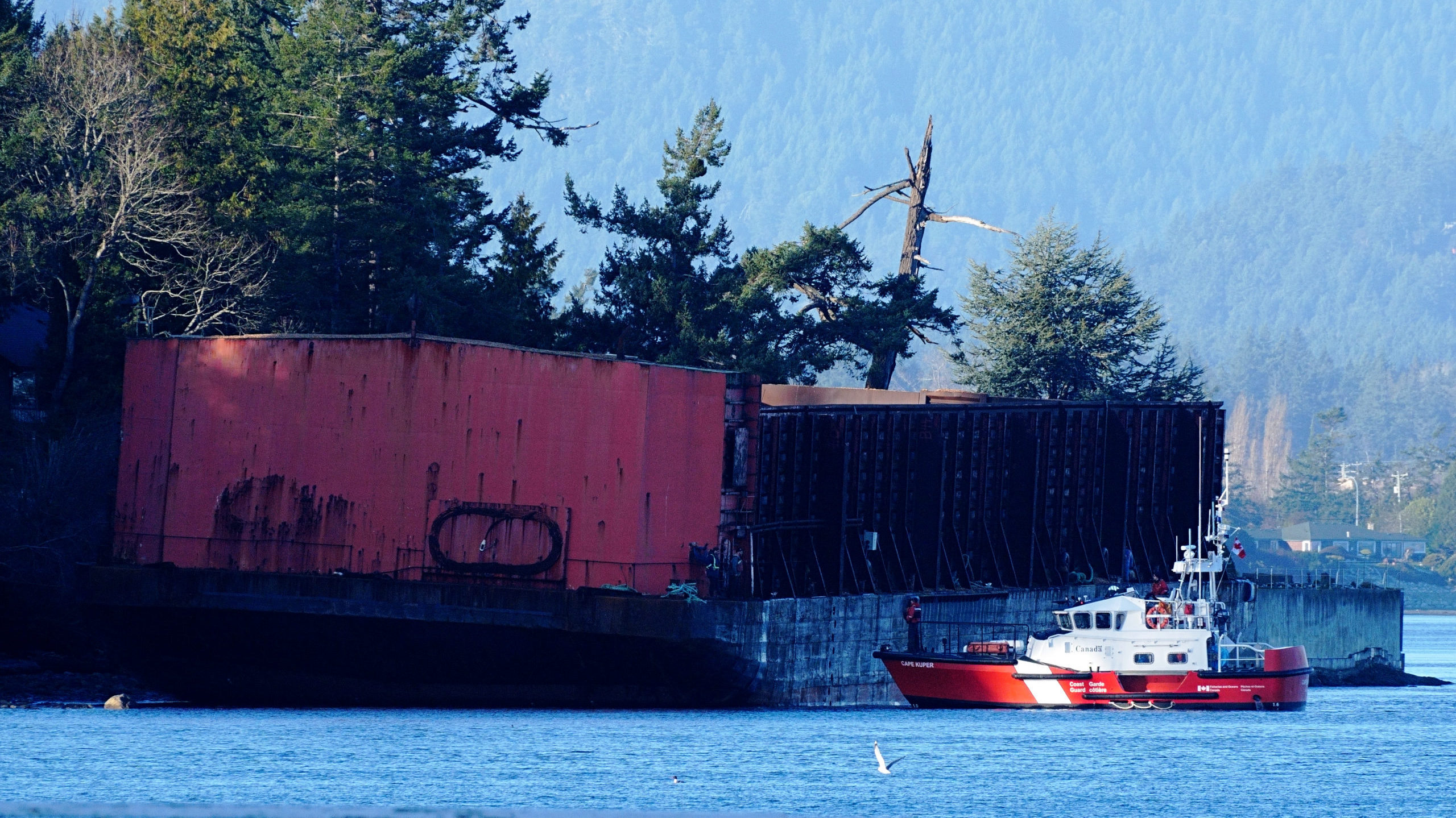 No marine pollution detected after barge runs aground in Central Saanich