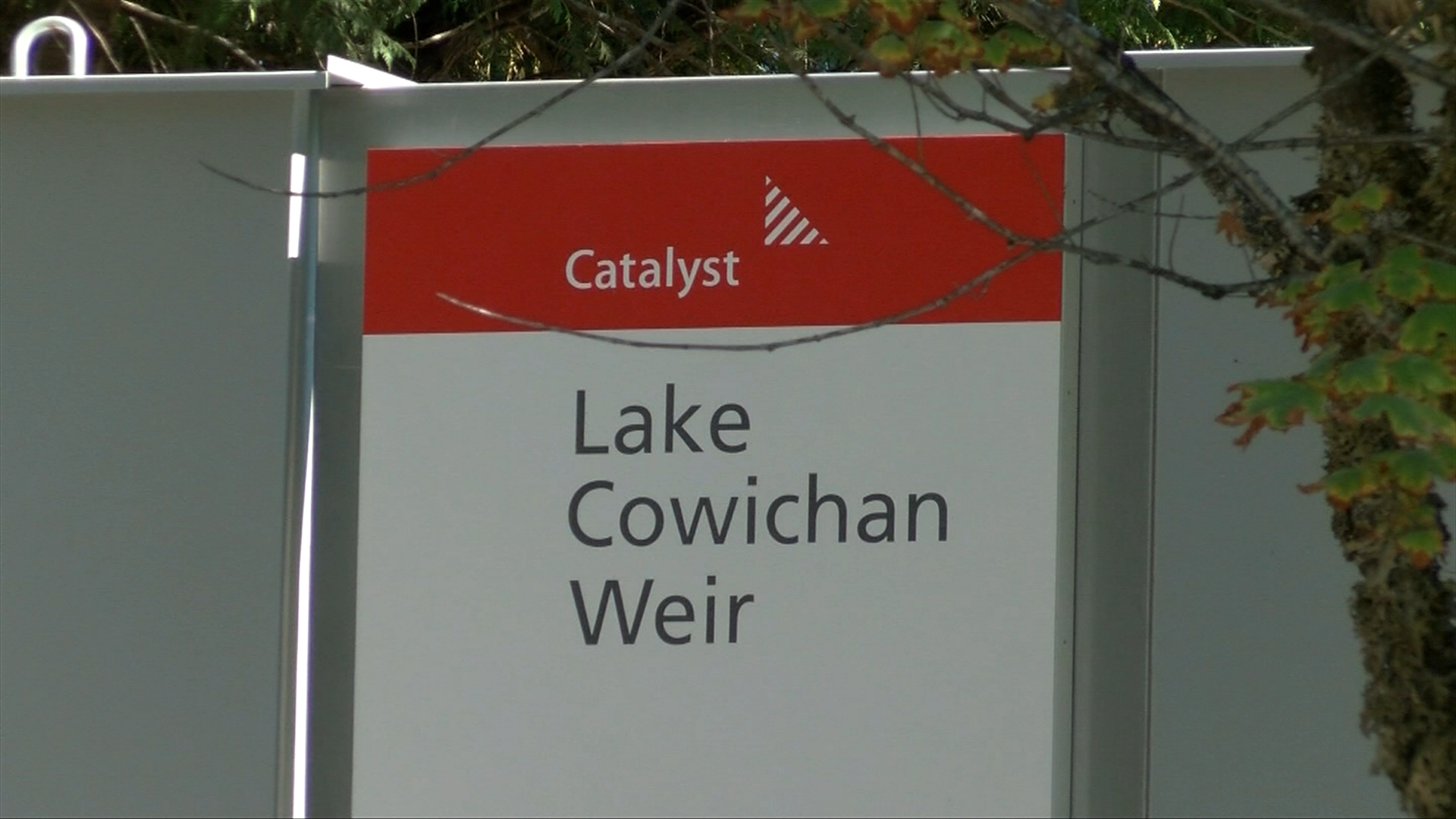 New details emerge about fish die-off in Cowichan River last summer