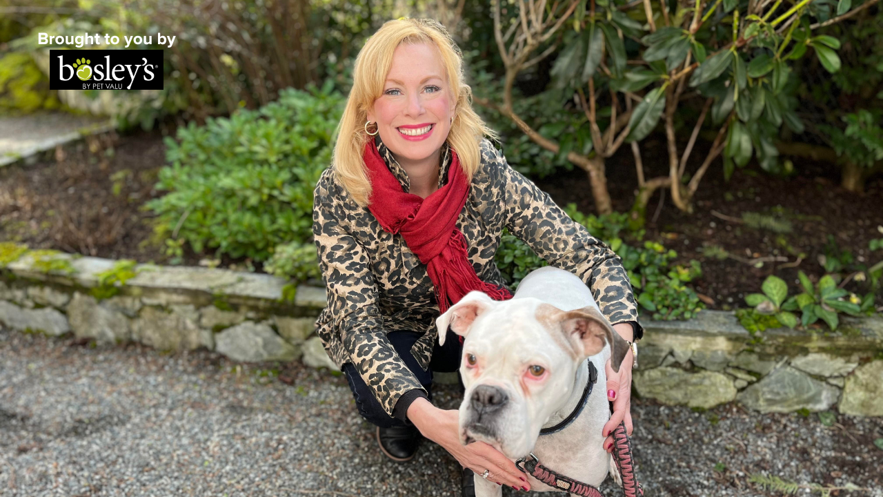 Pet CHEK: Senior dog Turbo is a boxer with a gentle personality