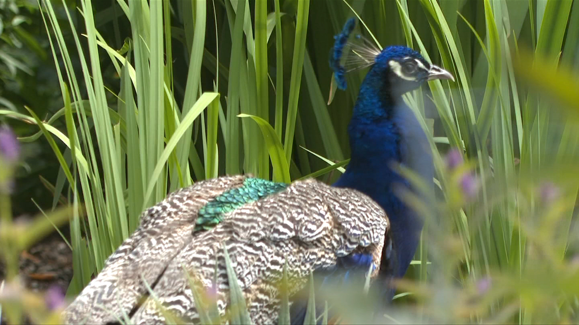 Mackenzie Read - Journalist Profile - Intelligent Relations